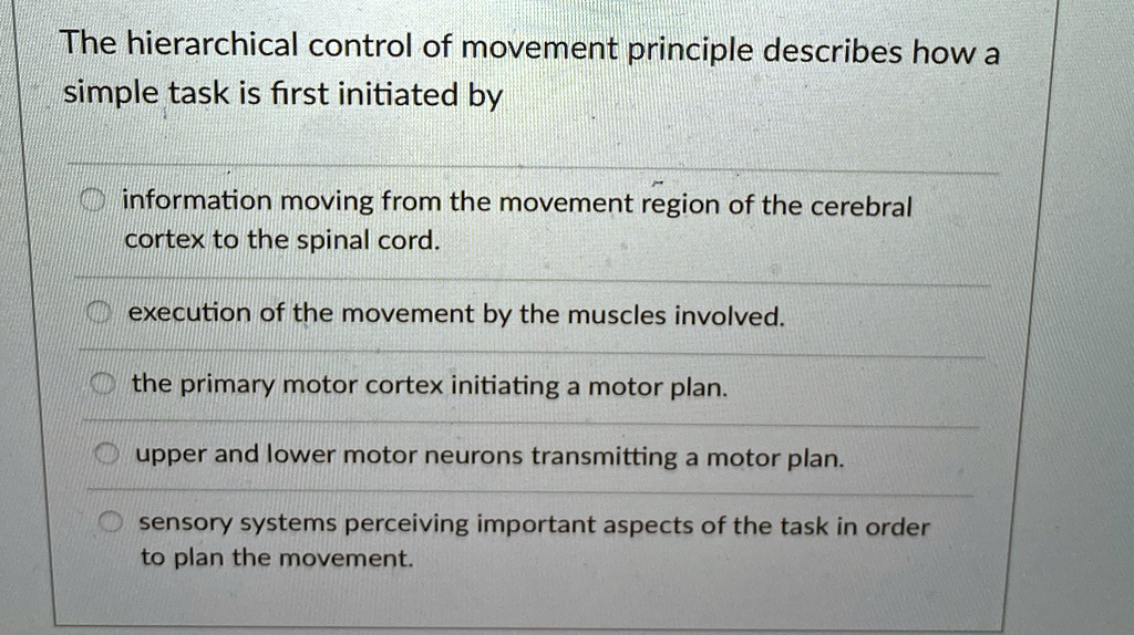 the hierarchical control of movement principle describes how a simple ...