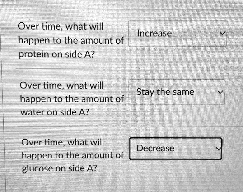 SOLVED: Over time, what will happen to the amount of Increase protein ...