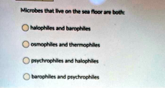 SOLVED: Microbes that live on the sea floor are both halophiles and ...