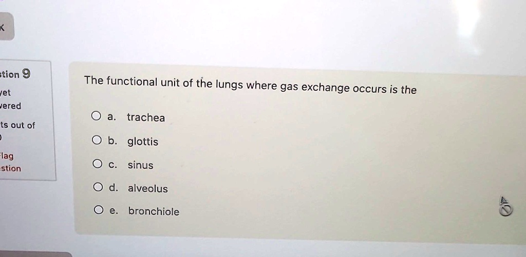 Question 9 The functional unit of the lungs where gas exchange occurs ...