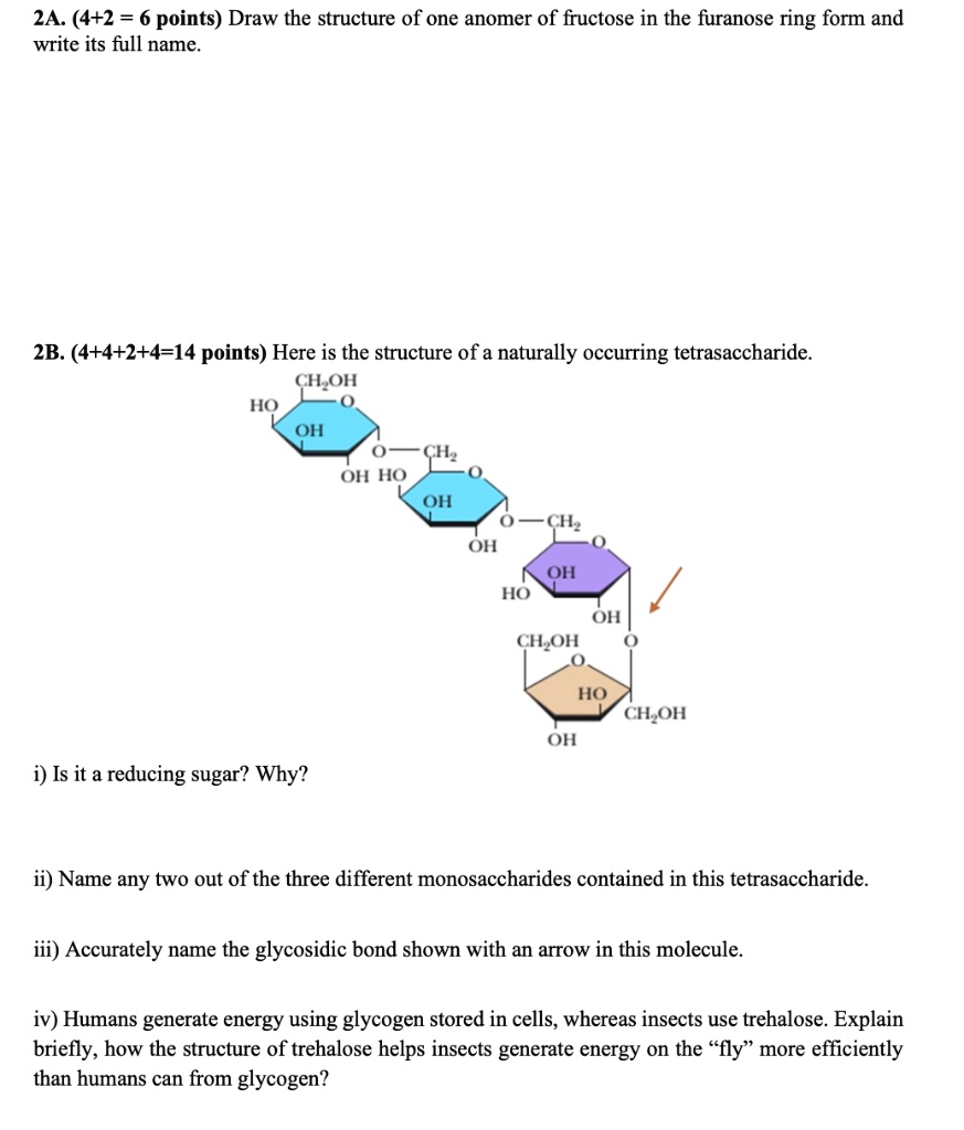 SOLVED: 2A. (4+2 = 6 points) Draw the structure of one anomer of ...