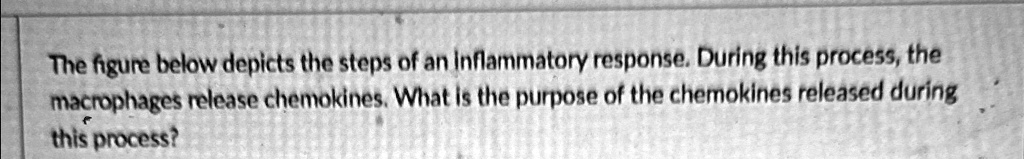 SOLVED: The figure below depicts the steps of an inflammatory response ...