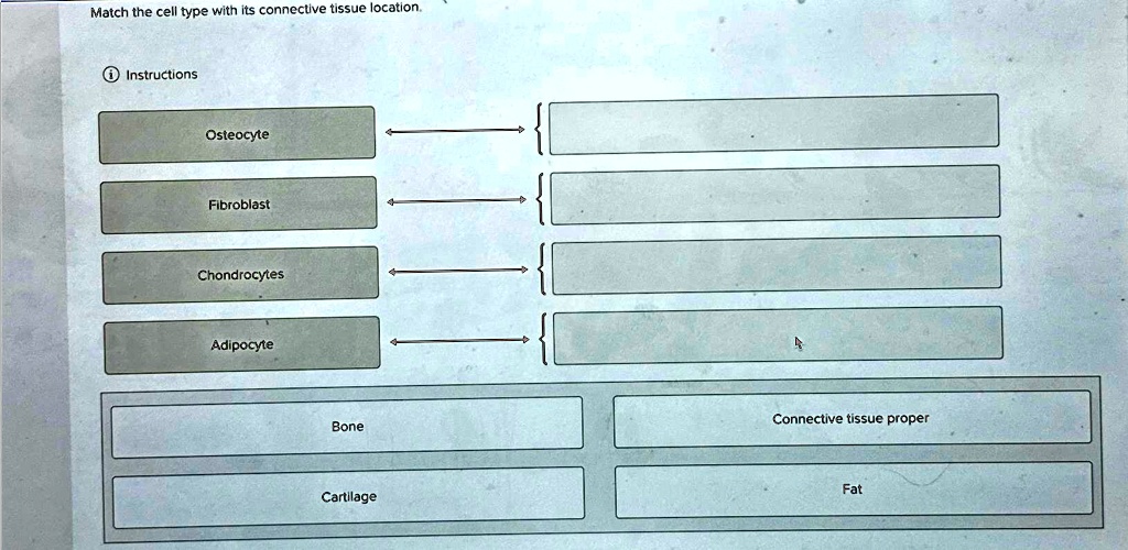 SOLVED: Match the cell type with its connective tissue location. (i ... SOLVED: Match the cell type with its connective tissue location. (i ...
