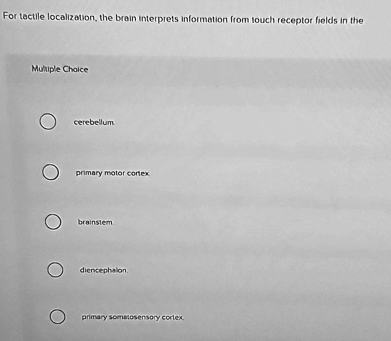 For tactile localization, the brain interprets information from touch ...
