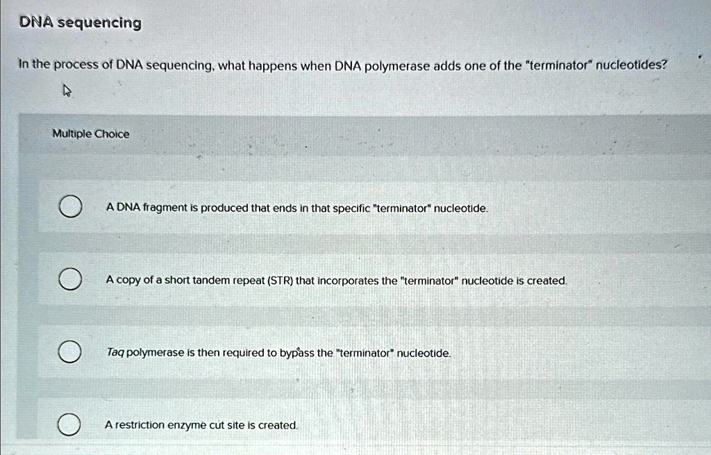 DNA sequencing In the process of DNA sequencing, what happens when DNA ...