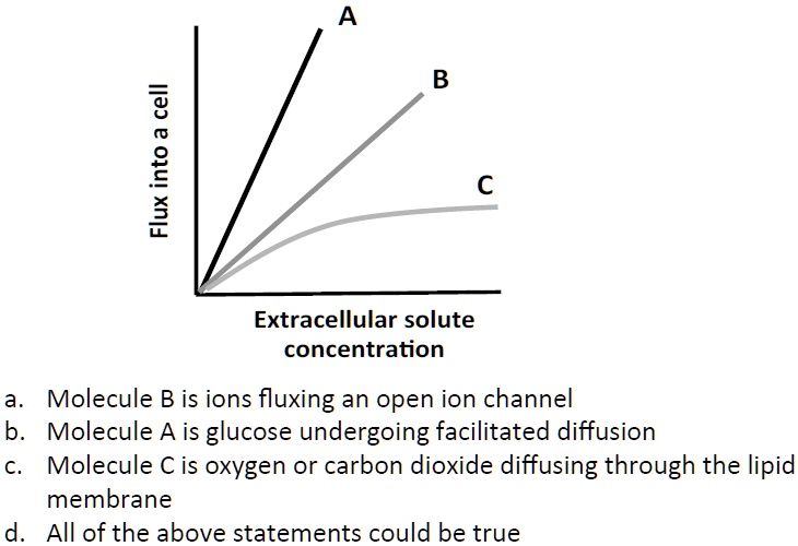 SOLVED: cell into Flux Extracellular solute concentration Molecule B is ions fluxing an open ion ...