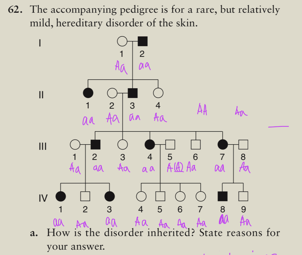 [GET ANSWER] 62. The accompanying pedigree is for a rare, but ...