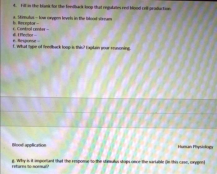 SOLVED: Fill in the blank for the feedback loop that regulates red ...