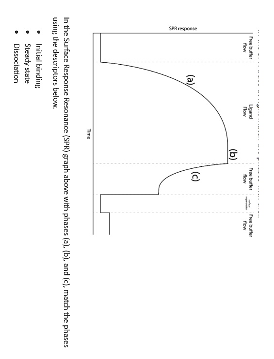 SPR response Free buffer flow Ligand Flow (a) Time (b) Free buffer flow ...