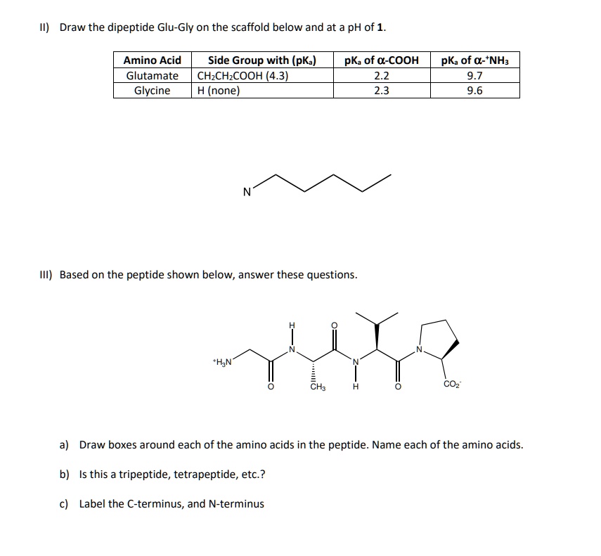 SOLVED:Draw the dipeptide Glu-Gly on the scaffold below = and at a pH ...