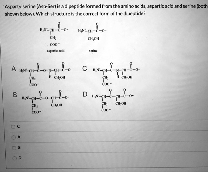 aspartylserine asp ser is a dipeptide formed from the amino ...