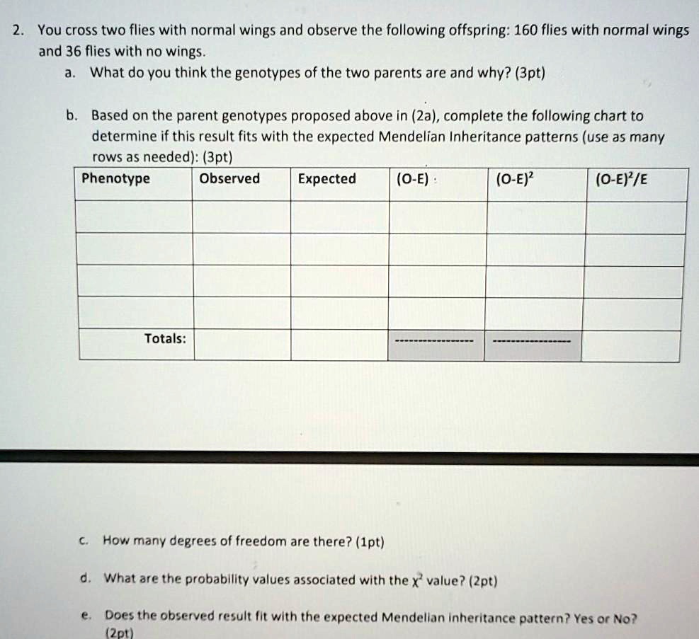 SOLVED: You cross two flies with normal wings and observe the following ...