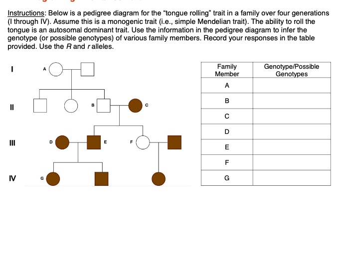 SOLVED: Instructions Below is pedigree diagram for the "tongue rolling ...