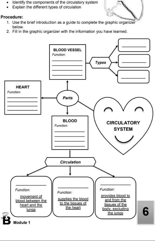 Identify the components of the circulatory system Explain the different ...