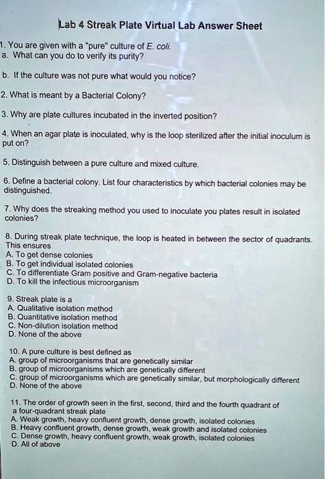 Lab 4 Streak Plate Virtual Lab Answer Sheet 1. You are given with a ...