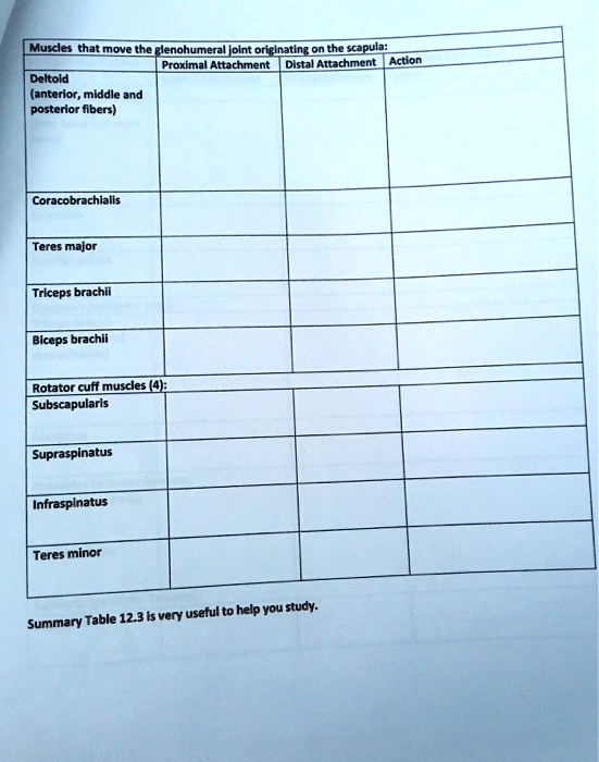 SOLVED: Proximal Attachment Distal Attachment Action Deltoid (anterior ...