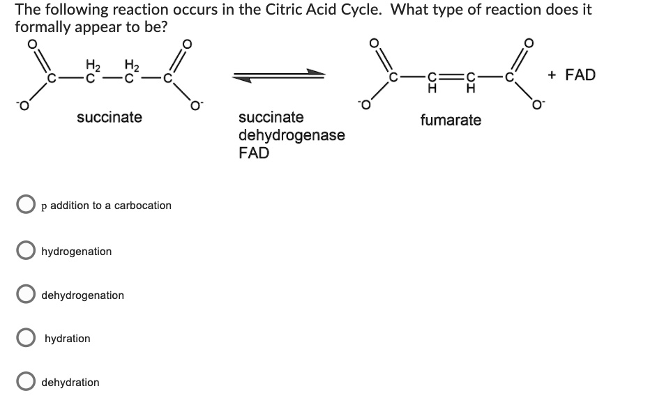 the following reaction occurs in the citric acid cycle what type of ...