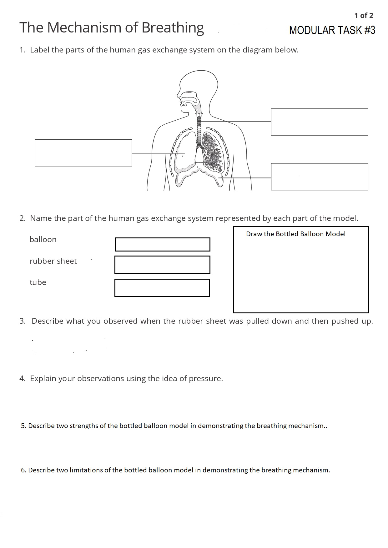 1 of 2 The Mechanism of Breathing MODULAR TASK #3 1. Label the parts of ...