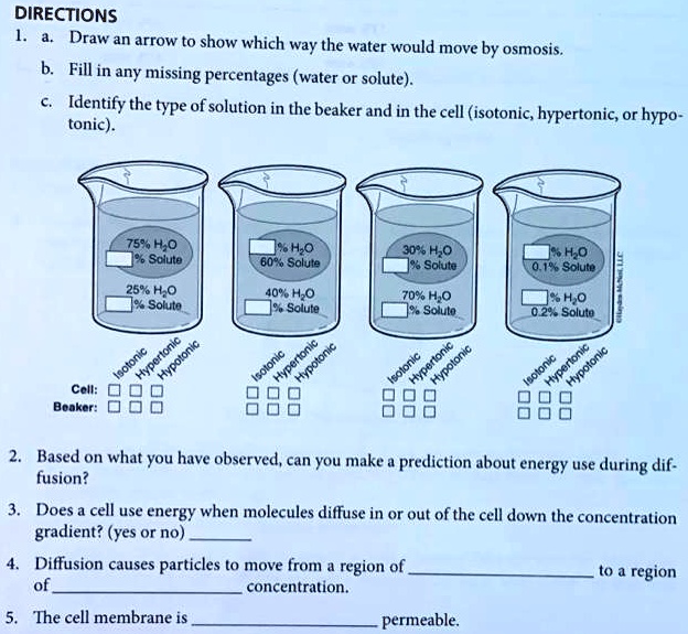 DIRECTIONS 1. a. Draw an arrow to show which way the water would move ...