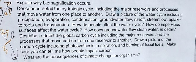 Explain why biomagnification occurs. Describe in detail the...