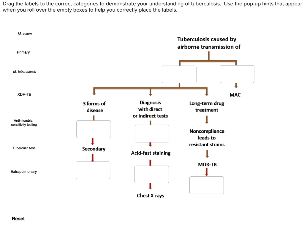 drag the labels to the correct categories to demonstrate your ...