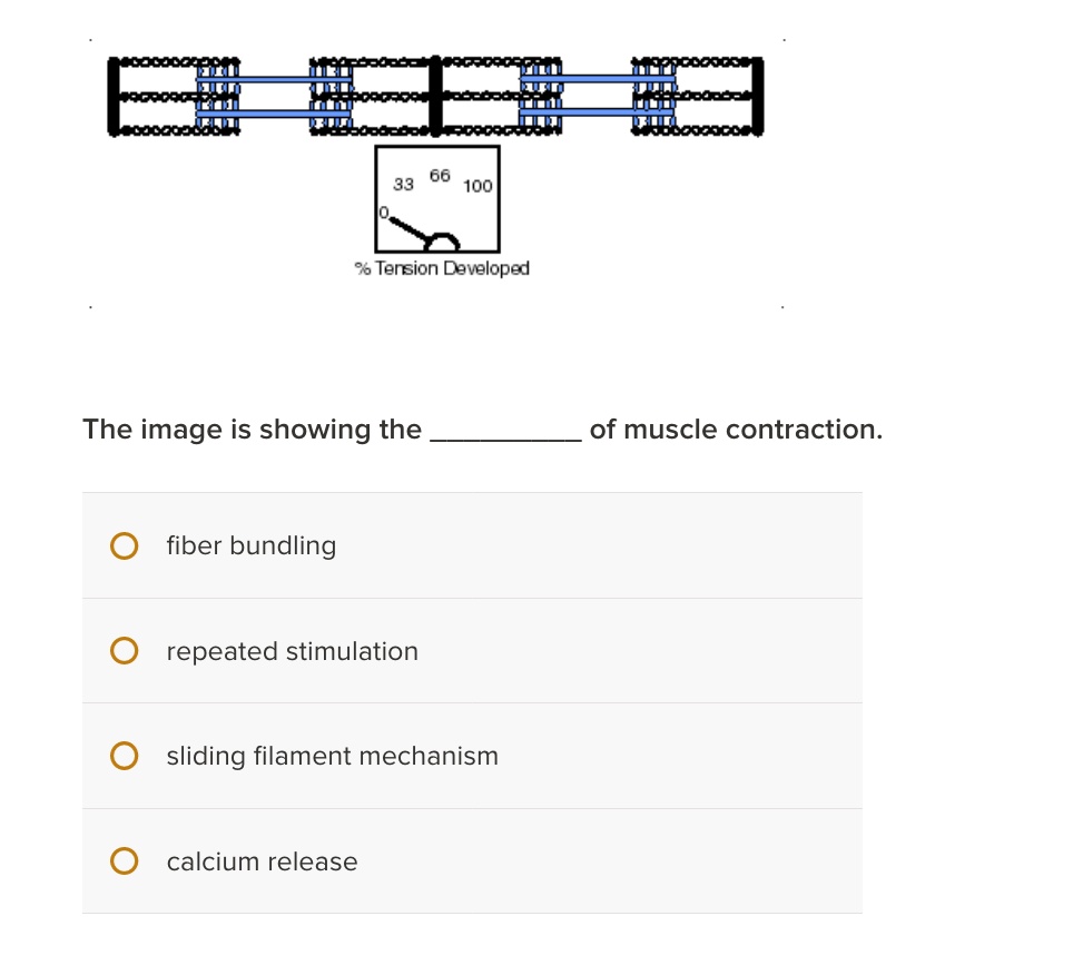 06 33 100 tension daveloped the image is showing the of muscle ...