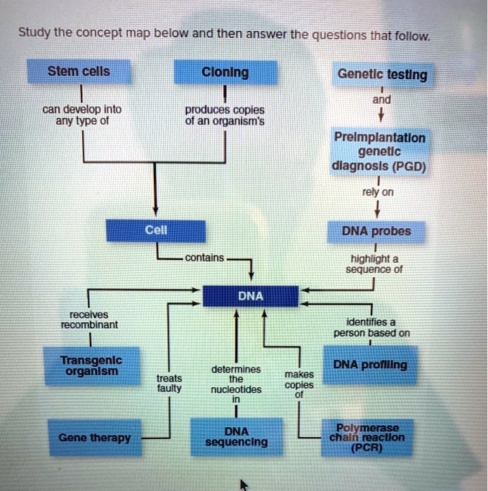 SOLVED: Text: Study the concept map below and then answer the questions ...