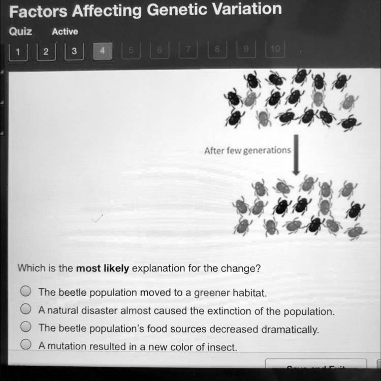 SOLVED: In a few generations, this population of beetles changed. What ...