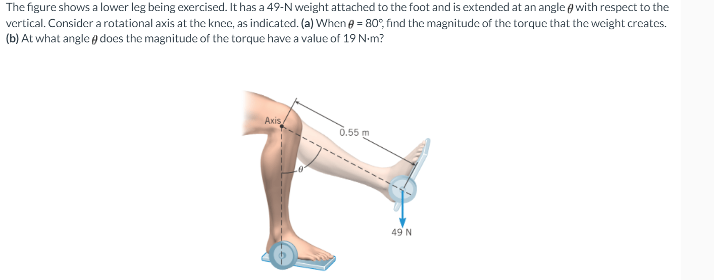 The figure shows a lower leg being exercised. It has a 49-N weight ...