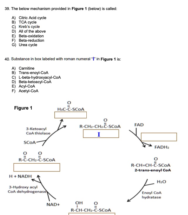 SOLVED: The below mechanism provided in Figure (below) is called ...