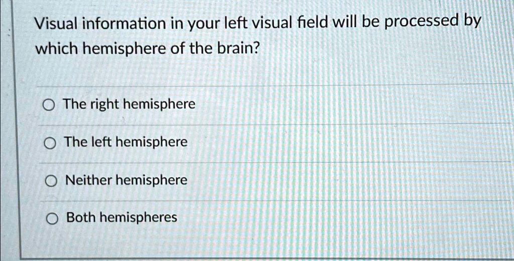 visual information in your left visual field will be processed by which ...