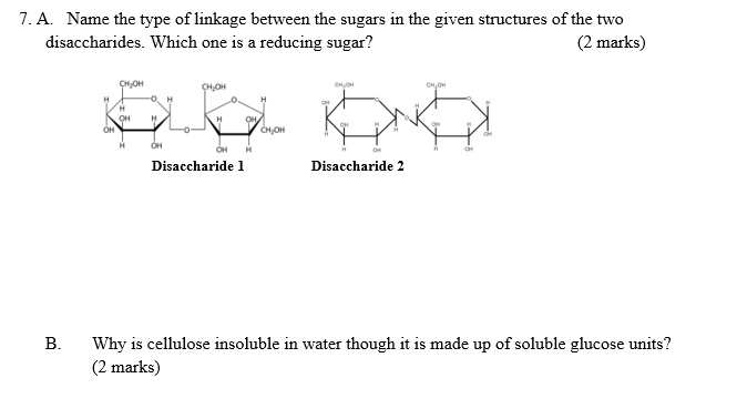 7a name the type of linkage between the sugars in the given...