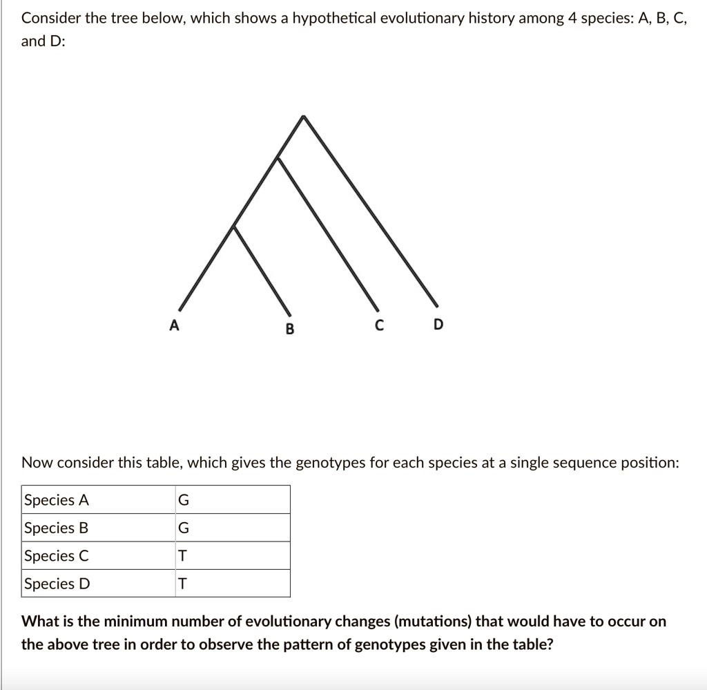 SOLVED: Consider the tree below, which shows a hypothetical evolutionary history among 4 species ...