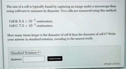 the size of a cell typically found by capturing an image under ...