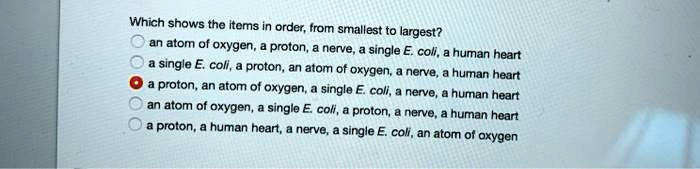 SOLVED: Which shows the items in order; from smallest to largest? atom ...