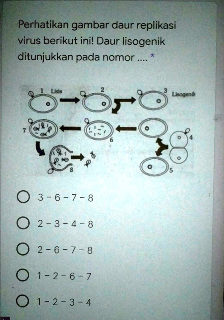 SOLVED: Perhatikan gambar daur replikasivirus berikut ini! Daur ... SOLVED: Perhatikan gambar daur replikasivirus berikut ini! Daur ...