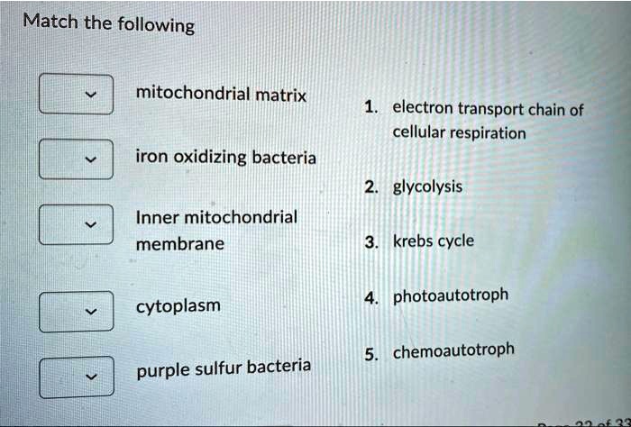 SOLVED: Match the following mitochondrial matrix 1.electron transport ...