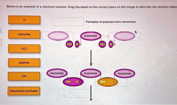 SOLVED: Texts: Below is an example of a chemical reaction. Drag the ...