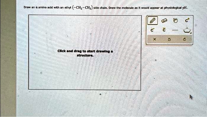SOLVED: Text: Draw an amino acid with an ethyl (CH-CH3) side chain ...