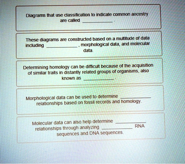 SOLVED: Diagrams that use classification to indicate common ancestry ...