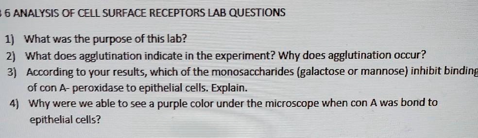 SOLVED:6 ANALYSIS OF CELL SURFACE RECEPTORS LAB QUESTIONS 1) What was ...