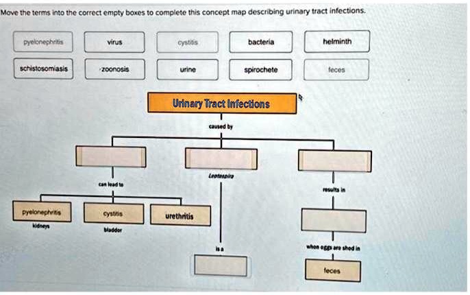 Move the terms into the correct empty boxes to complete this concept ...