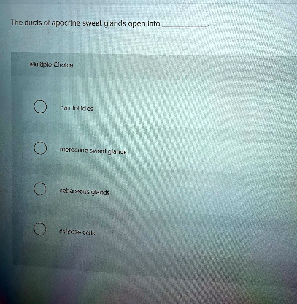 the ducts of apocrine sweat glands open into multiple choice hair ...