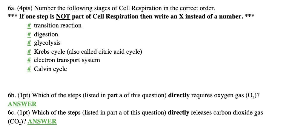 SOLVED: 6a. (4pts) Number the following stages of Cell Respiration in the correct order *** If ...