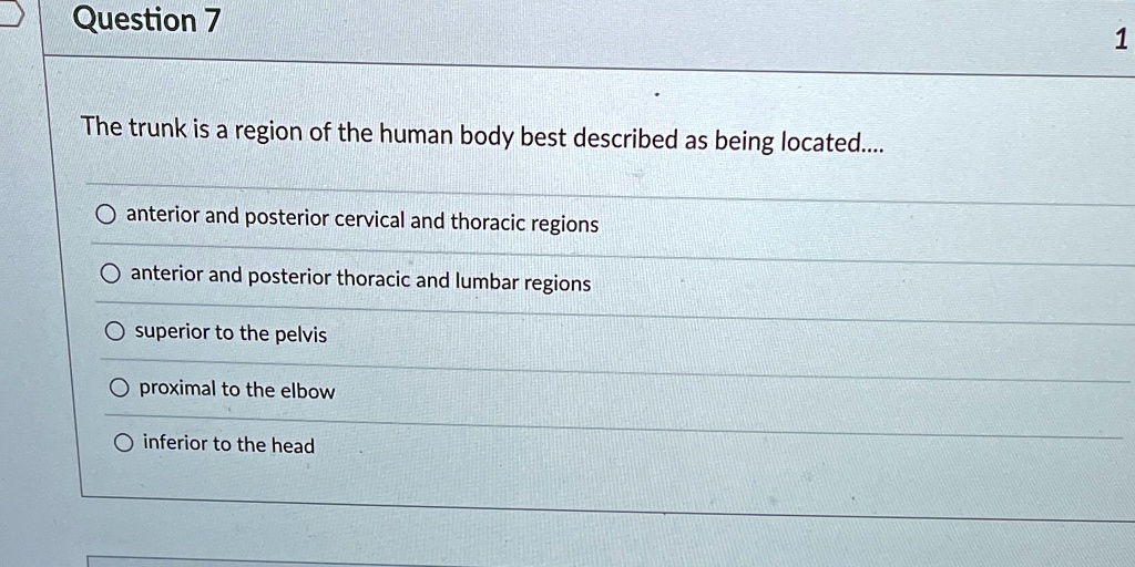 question 7 1 the trunk is a region of the human body best described as ...