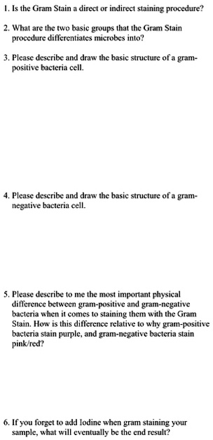 SOLVED: Is the Gram Stain direct or Indirect staining procedure? What ... SOLVED: Is the Gram Stain direct or Indirect staining procedure? What ...