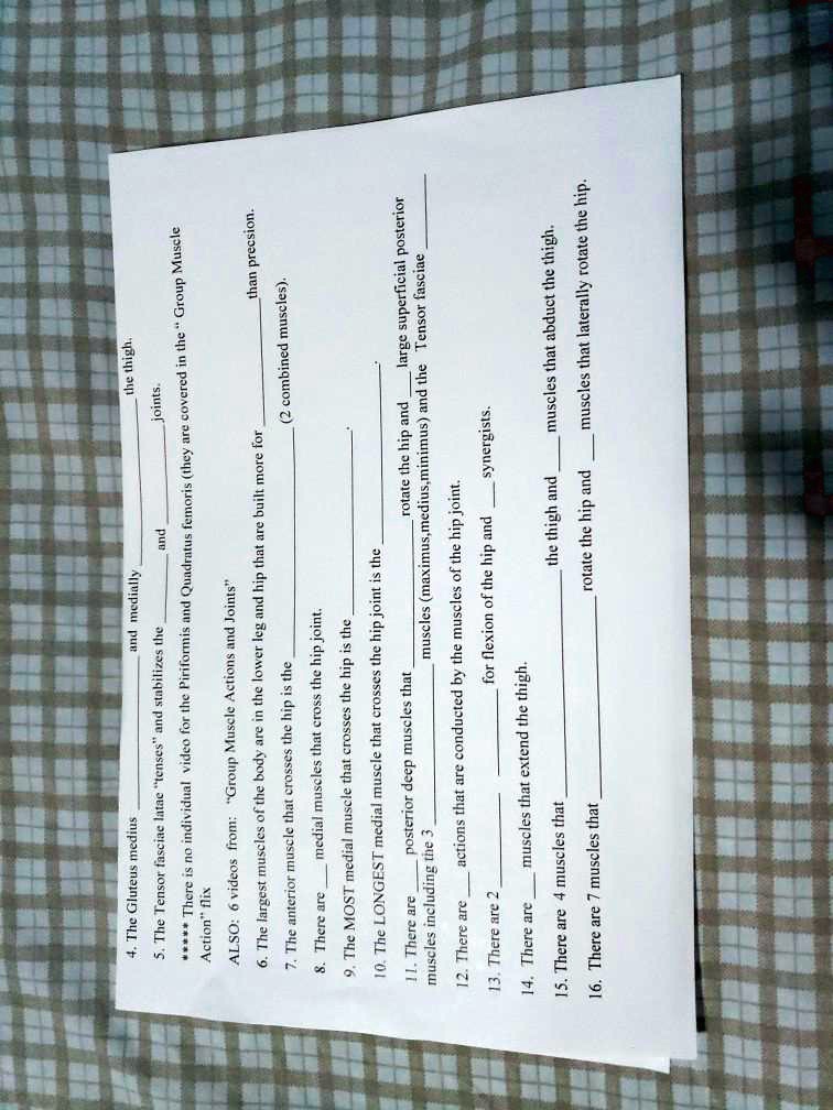 SOLVED: Text: 1. The precision. 2. Combined muscles. Large superficial ...