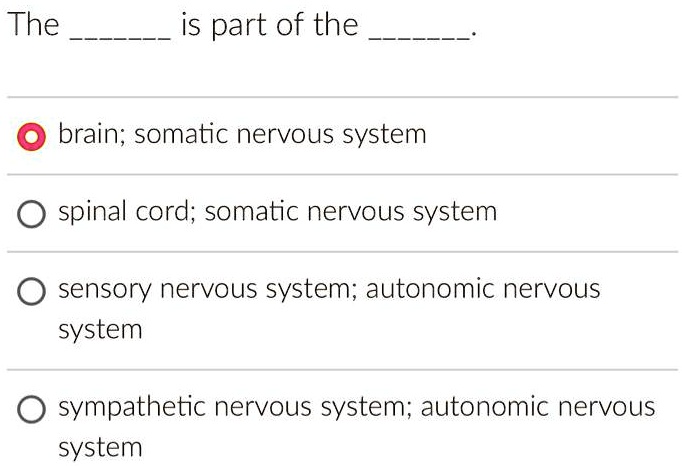 The is part of the . brain; somatic nervous system spinal cord; somatic ...