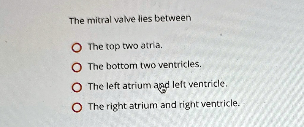 The mitral valve lies between The top two atria. The bottom two ...