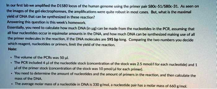 SOLVED:In our frst lab we amplifed the D1s80 locus of the humnan ...